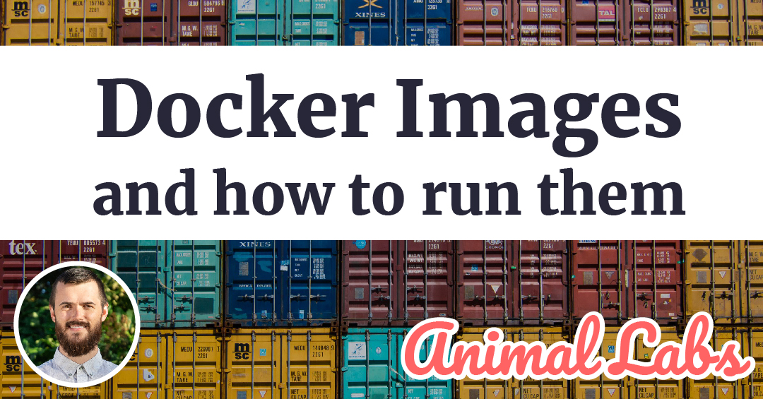 Docker images and how to run them - Animal Labs Blog